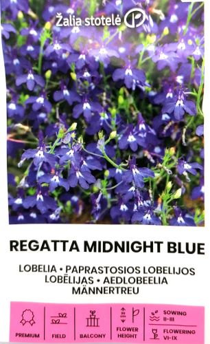 Lobelia Regatta Midnight Blue Seeds - Irish Plants Direct